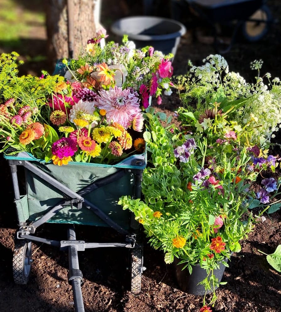 Flower Buckets – Amber Cottage Flowers
